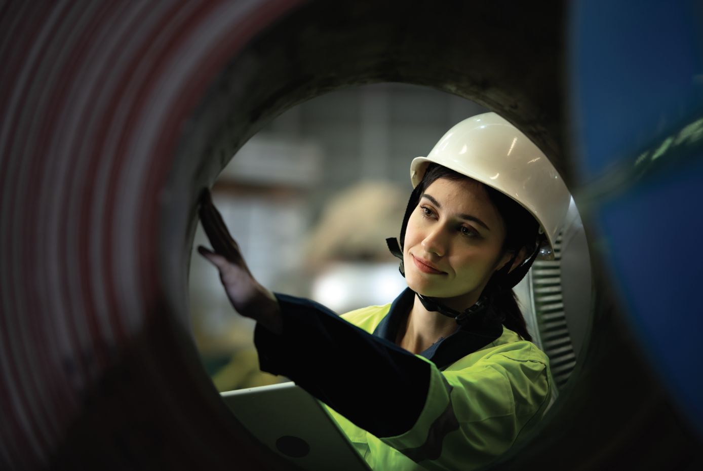 Application Access Governance Solutions